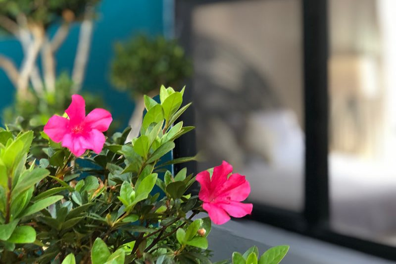 A boutique Ajijic Bed and Breakfast - Casa del Sol Inn